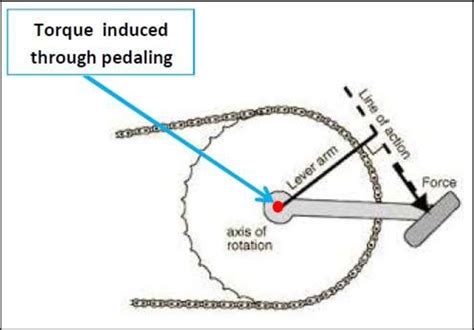 Fixation Of The Torque Sensor On The Axis Of Rotation Of The Present Download Scientific