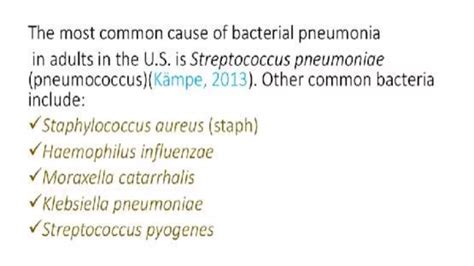 Sputum Chest X Rays And Spirometry Pptx Lung And Respiratory Health
