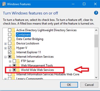 How To Install IIS On Windows