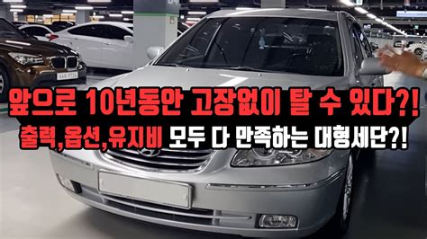 앞으로 10년동안 고장없이 탈 수 있는 대형세단 이 가성비차를 놓친다구요 출력 옵션 유지비 모든걸 만족한 성공의상징