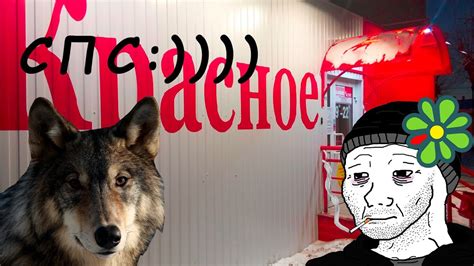 😱СПАС ВОЛКА ИХВИЛЬНИХТА ИЗ ПЛЕНА ВОТ ОН НЕГОДЯЙ 😱 Youtube