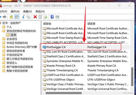 Burpsuite CA证书导入浏览器导入本地 bp导入证书 CSDN博客