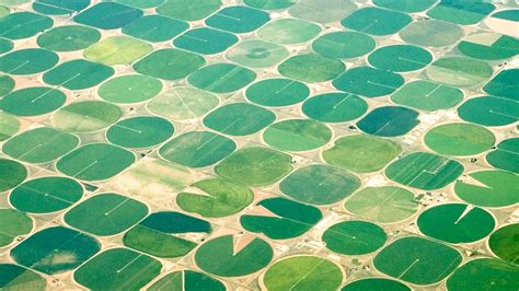 Andre Akkerman Andreakkerman Twitter