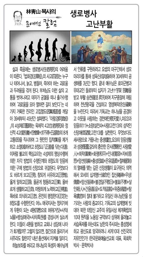 임청산 칼럼 최신글 만화신문 만화정보