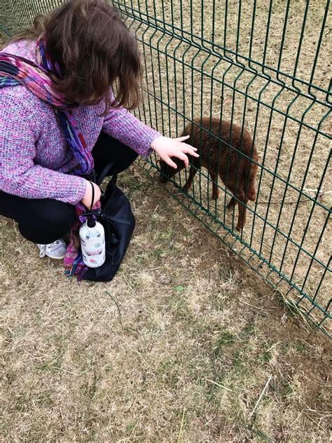 susanna chapman on linkedin softwareengineer