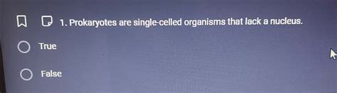 Solved Prokaryotes Are Single Celled Organisms That Lack A