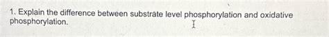 Solved 1 Explain The Difference Between Substrate Level