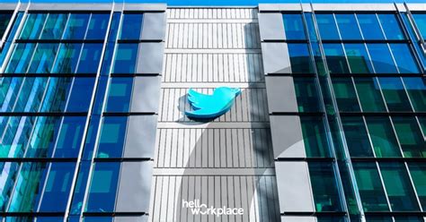 Twitter Elon Musk Licencie La Moitié Des Effectifs Avant De Rappeler