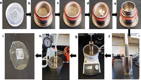Vacuum Compression Molding Vcm Process For Fabrication Of Polymeric Download Scientific