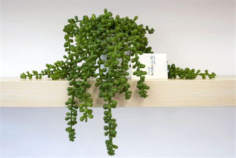 5 Google Doc HacksAnd How To Use Them Effectively Career Contessa