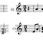 The Accordion Party Download Scientific Diagram