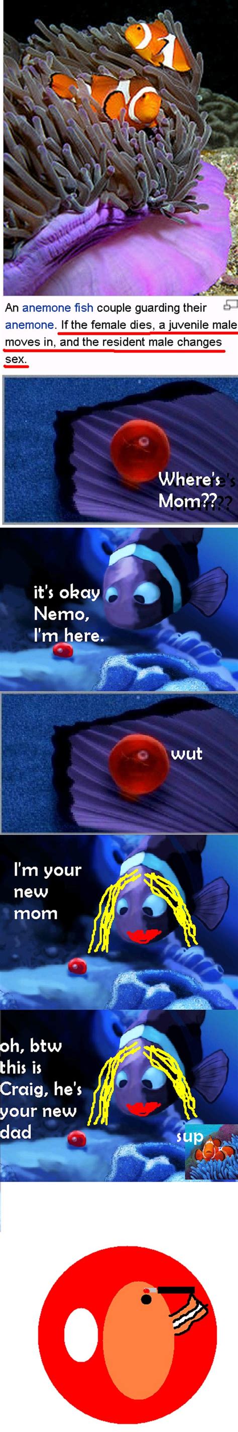 Fucking Nemo New Funny Posts Pictures And S On Joyreactor