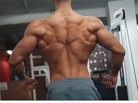 남자 여자 헬스 어깨운동 넓어지는 운동 덤벨 아령 숄더프레스 사이드레터럴 레이즈 업라이트로우 후면 삼각근 페이스풀 네이버 블로그