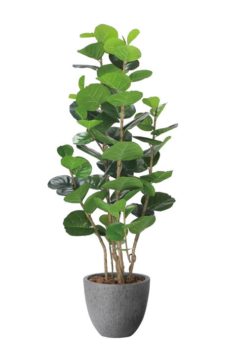 光触媒 光の楽園ナチュラルトネリコ 18m【インテリア フェイクグリーン 人工観葉植物】2407a720 造花と観葉植物の専門店 光の楽園