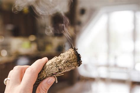 건조 세이 지 스머지 스틱 흡연의 여자 손 들고 허브 번들 그것은 부정적인 에너지를 정화 하 고 객실에서 집에서 생활 공간을 정화 하는 것으로 추정 된다 Mental