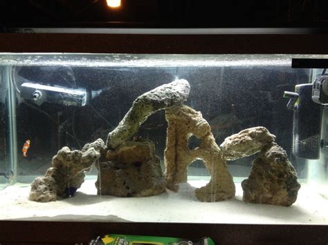 55 Gal Saltwater Tank So Far Aquariums