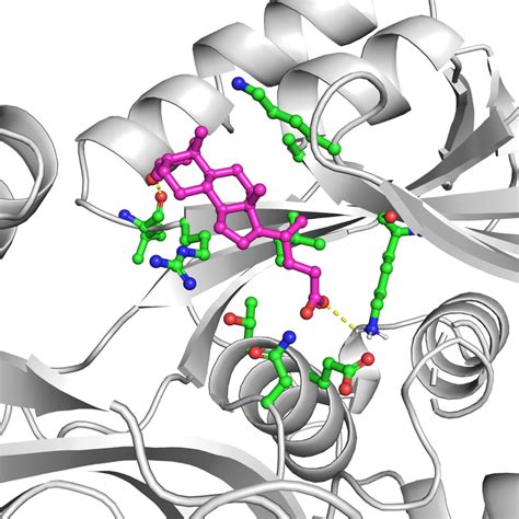 Cadd，计算机辅助药物设计 知乎