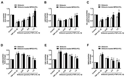 Effects Of Shikonin Loaded Mpeg Pcl Micelles On Endmt Induced By Tnf α Download Scientific