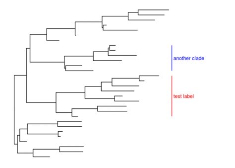 Phylogenetic Trees In R Using Ggtree The Molecular Ecologist
