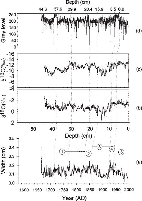 Width Data Is Plotted In A Numbers Inside Circles And Associated Download Scientific Diagram