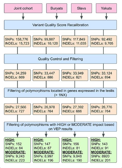 Whole Exome Genotype Data Filtering Pipeline Download Scientific Diagram
