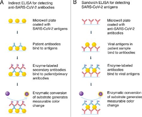 Elisa Assays Detecting Antibodies A Or Antigens B Download Scientific Diagram