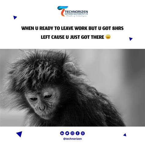 Technorizen Software Solutions On Linkedin Mememonday Technorizen Teamtechorizen