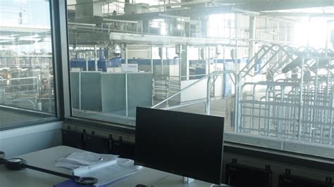 Robotics Revolution Helps Lift Efficiency And Welfare Dairy News Australia