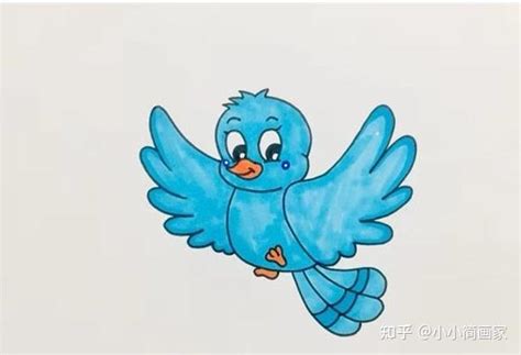 超简单的小鸟绘画教程 快教你的小朋友来学画画吧 知乎