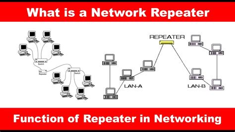 Repeater And Its Types In Networking At Eusebia Horton Blog