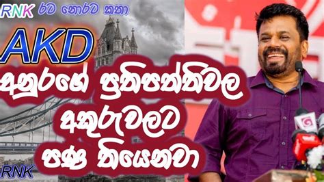NPP අනරග පණ තයන අකර npp YouTube