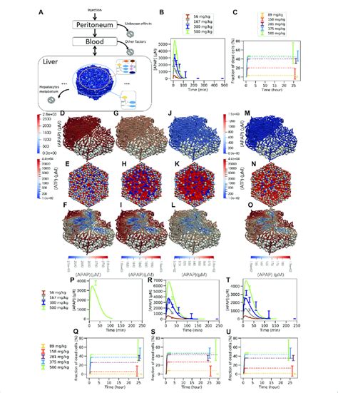 Multiscale Model Strategy A Multiscale Model Involving A
