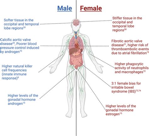 Chemical And Molecular Tools To Probe Biological Sex Differences At
