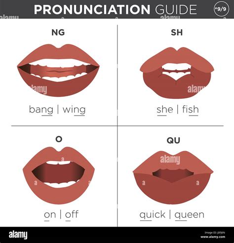 Visual Pronunciation Guide With Mouth Showing Correct Way To Stock Vector Art And Illustration