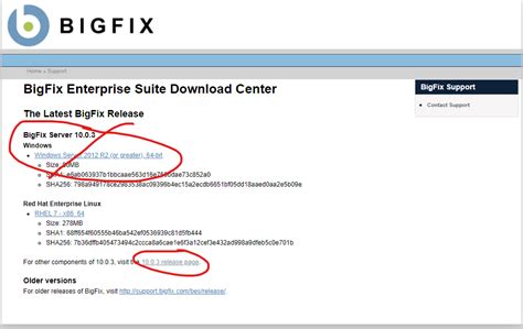 bigfix client deploy tool and mass roll out of the agent platform