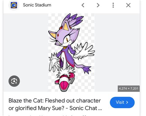 Sonic Has Killed Several Gods And Youre Calling The Cat Who Has Fire