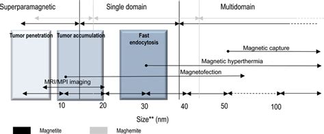 Schematic Representation Of The Theoretical Magnetic Regimes Download Scientific Diagram