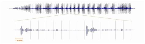 Oscillogram And Spectrogram Of 27 Seconds Of Calling Song Of Male
