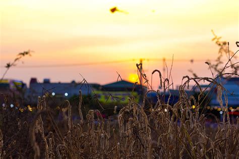 칸 호안 Pixabay의 무료 사진 Pixabay