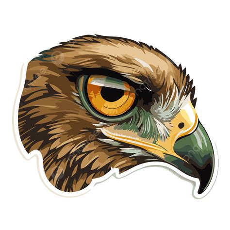 Hawk S Head Cartoon Vector Eagle Eye Eagle Eye Clipart Cartoon Eagle