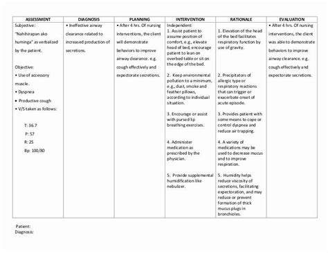 20 Copd Care Plan Template Simple Template Design