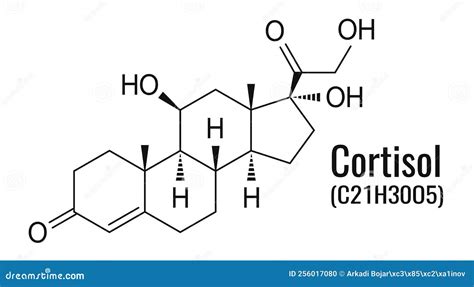 Cortisol Molecule Vector Chemical Formula 256017080
