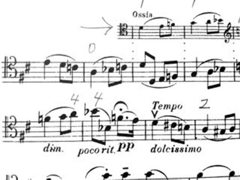 梅雨のレッスン C E L L O L O G U E