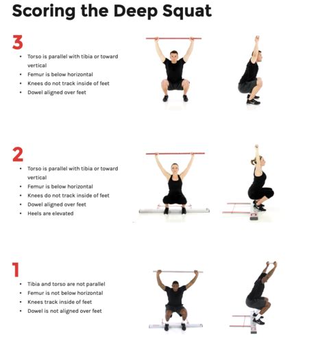 Fms Flashcards Quizlet