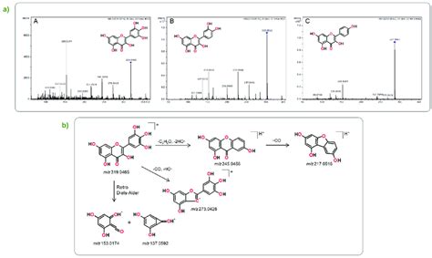 A Tandem Mass Spectra Obtained By Lc Esi Hrms Ms Of Flavonoids Download Scientific