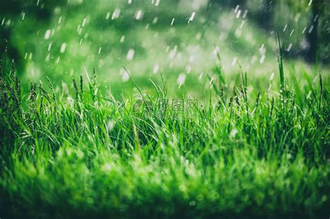下雨天下雨高清图片下载 正版图片503468379 摄图网