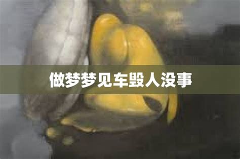 做梦梦见车毁人没事 命理解梦
