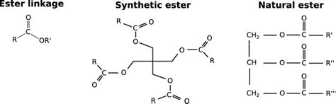 Structure Of Ester Linkage Synthetic And Natural Ester Source [15] Download Scientific