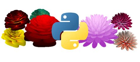 How To Plot Rose And Dahlia Flower With Python By Mohammad Aryayi