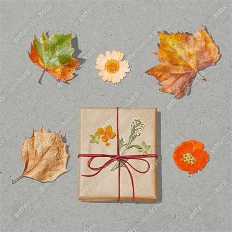 그래픽이미지 Computer Graphics 합성 Computer Graphics 디자인엘리먼트 이미지 오브젝트 묘사 가을 계절 상업이벤트 사건